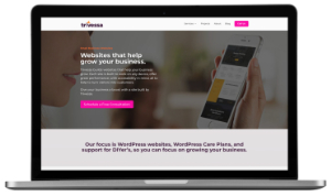WordPress Care Plans - Website Maintenance - Trivessa